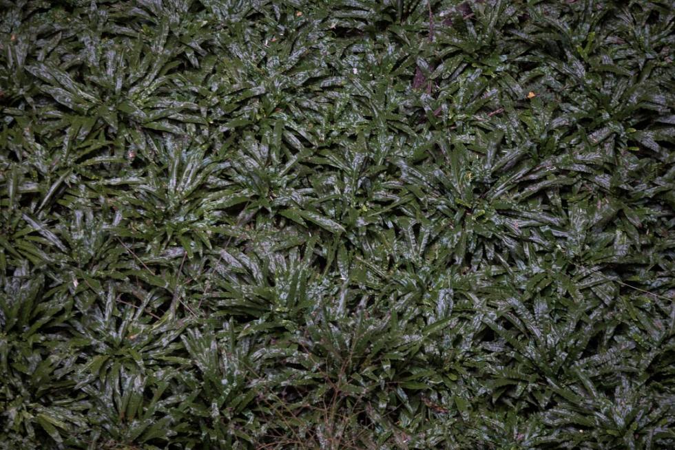 Fotos: Fotos de Grisel en 'Aragón es extraordinario' | Imágenes