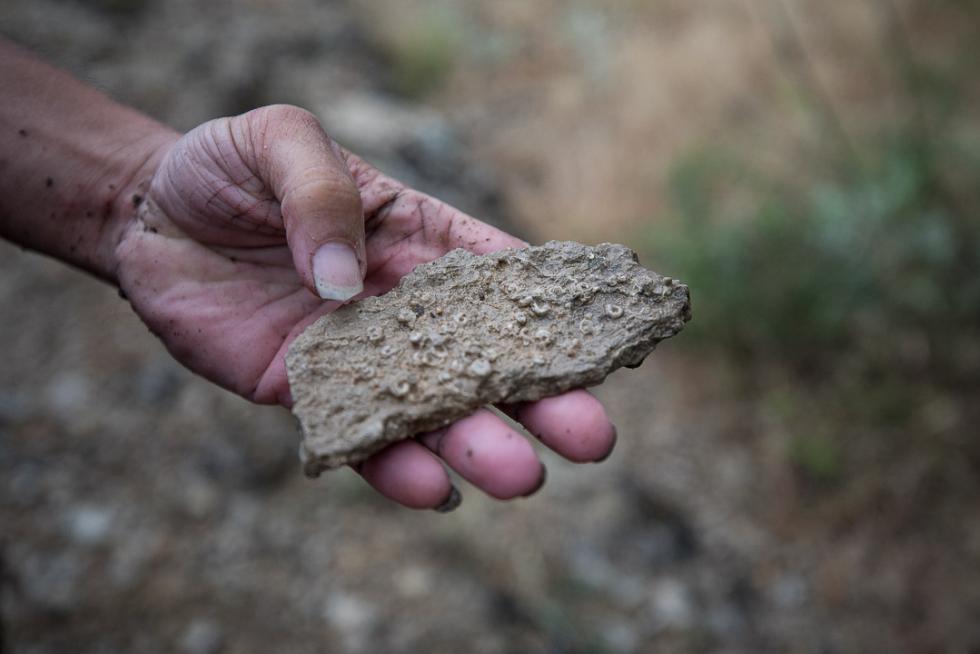 Fotos: Fotos del pueblo de Moscardón en 'Aragón es extraordinario ...