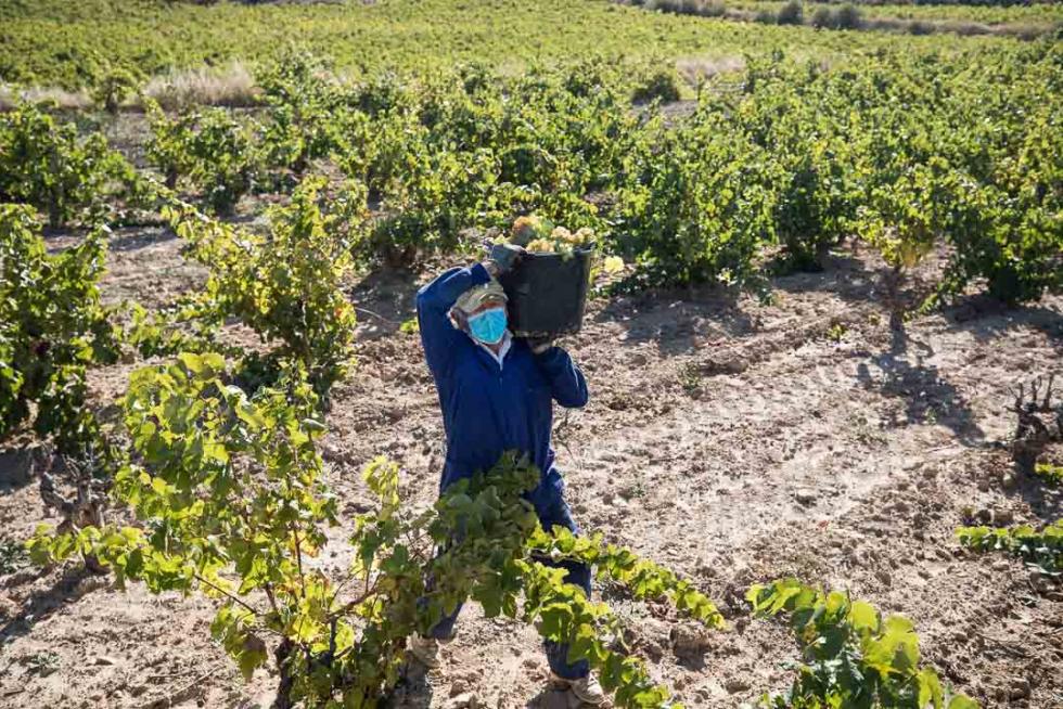 Fotos: Fotos de Bodegas Paniza | Imágenes