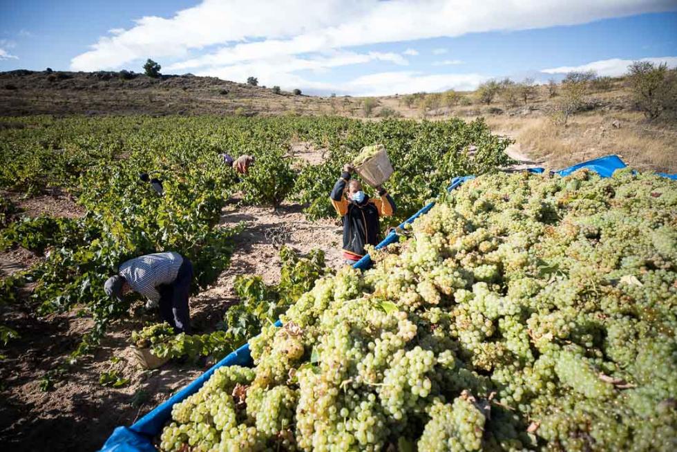 Fotos: Fotos de Bodegas Paniza | Imágenes