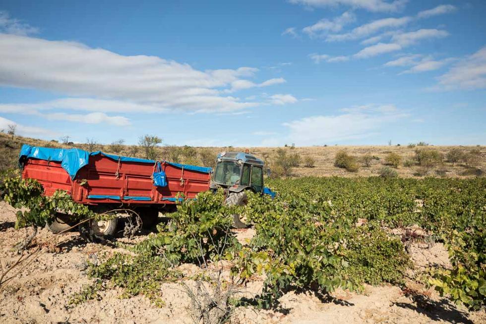 Fotos: Fotos de Bodegas Paniza | Imágenes