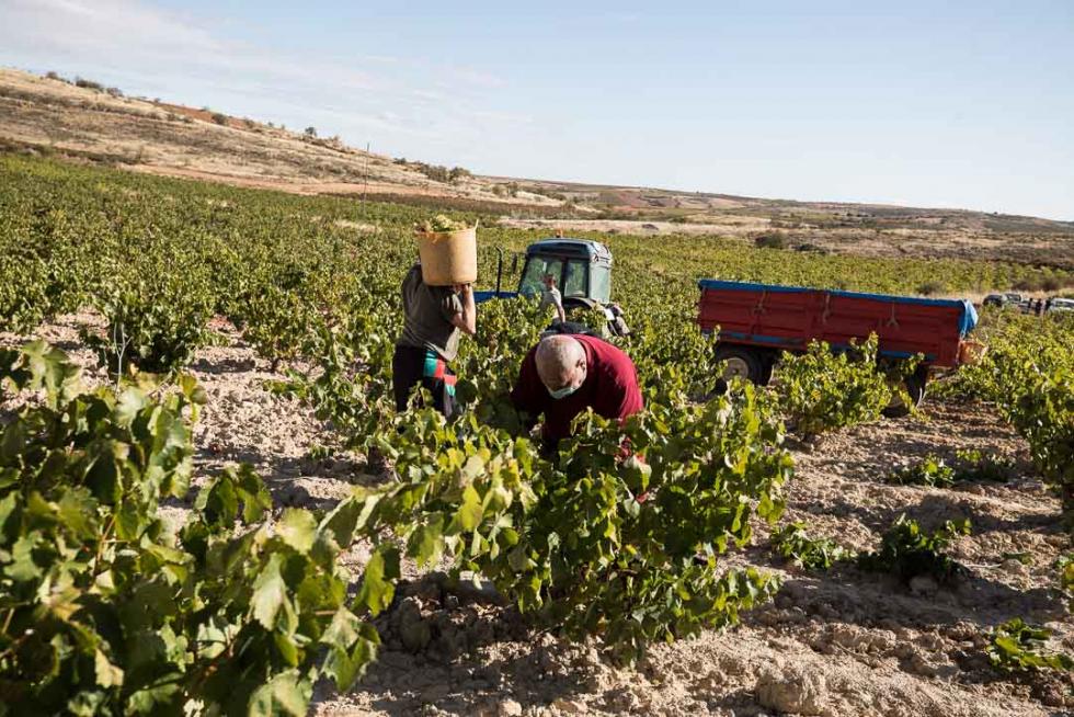 Fotos: Fotos de Bodegas Paniza | Imágenes