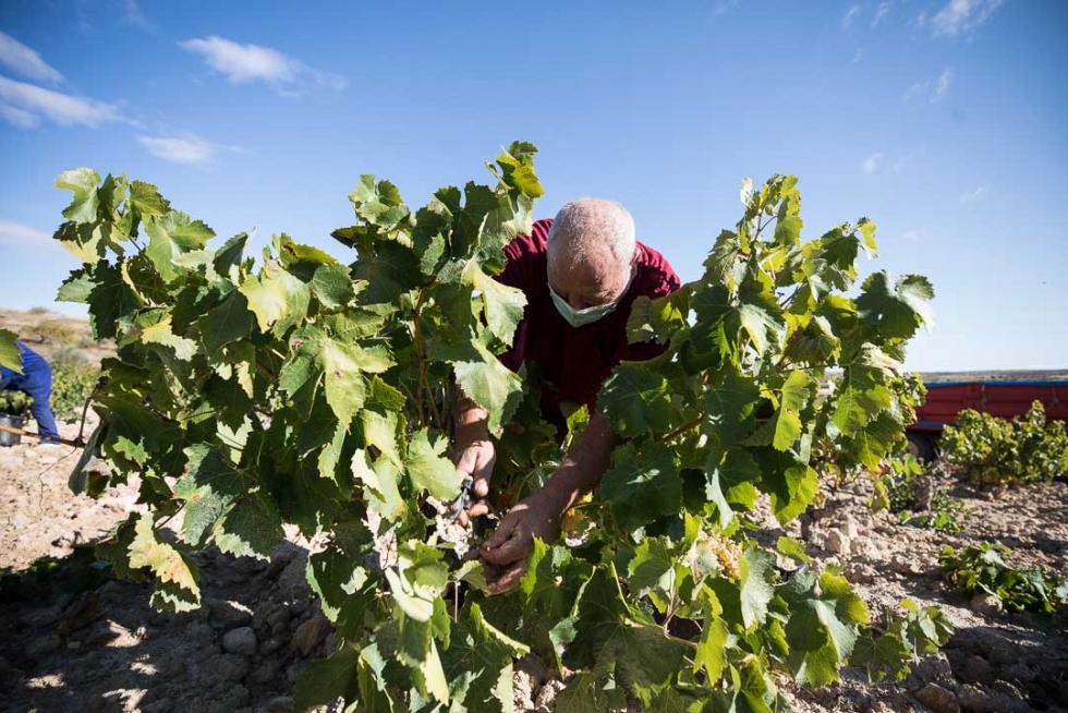Fotos: Fotos de Bodegas Paniza | Imágenes