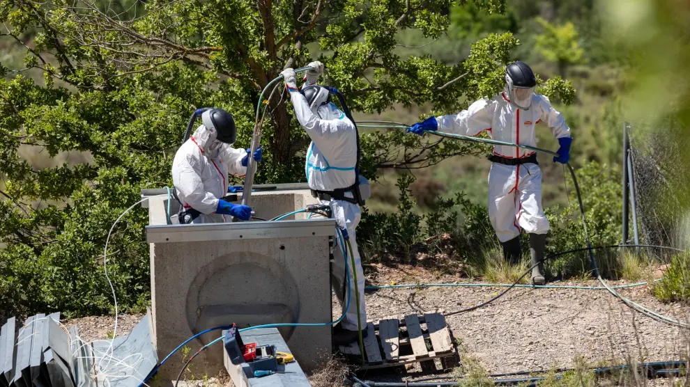 Sarga ofrece más de 70 empleos hasta final de año