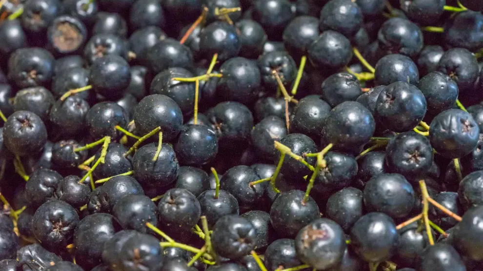 Redirecting to /noticias/salud/2025/04/08/fruta-conoce-poca-gente ... Redirecting to /noticias/salud/2025/04/08/fruta-conoce-poca-gente ...
