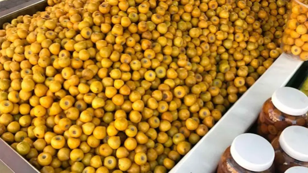 Fruta de oro: el alimento lleno de colágeno que combate las arrugas y ...