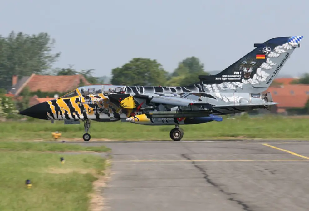 Tiger Meet | Imágenes