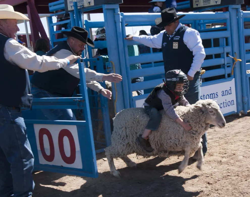 Rodeo para niños en Arizona | Imágenes