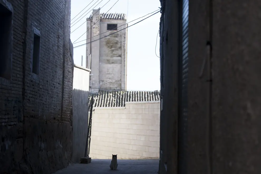 Más imágenes de Magallón en 'Aragón, pueblo a pueblo' | Imágenes