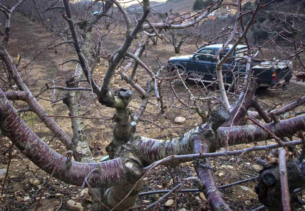 Más imágenes de El Frasno en 'Aragón, pueblo a pueblo' | Imágenes