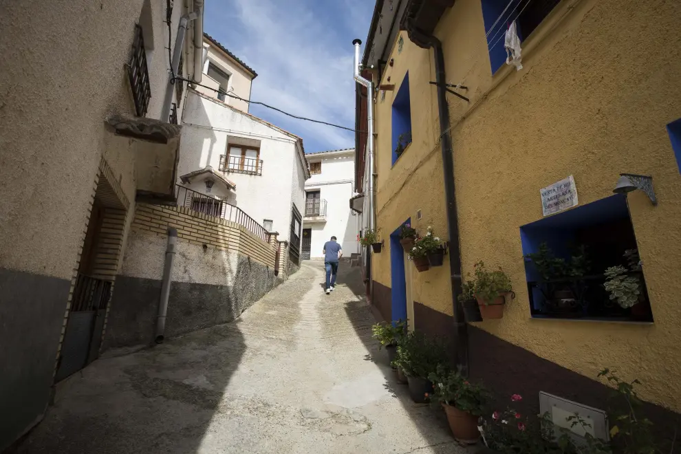 Talamantes | Imágenes