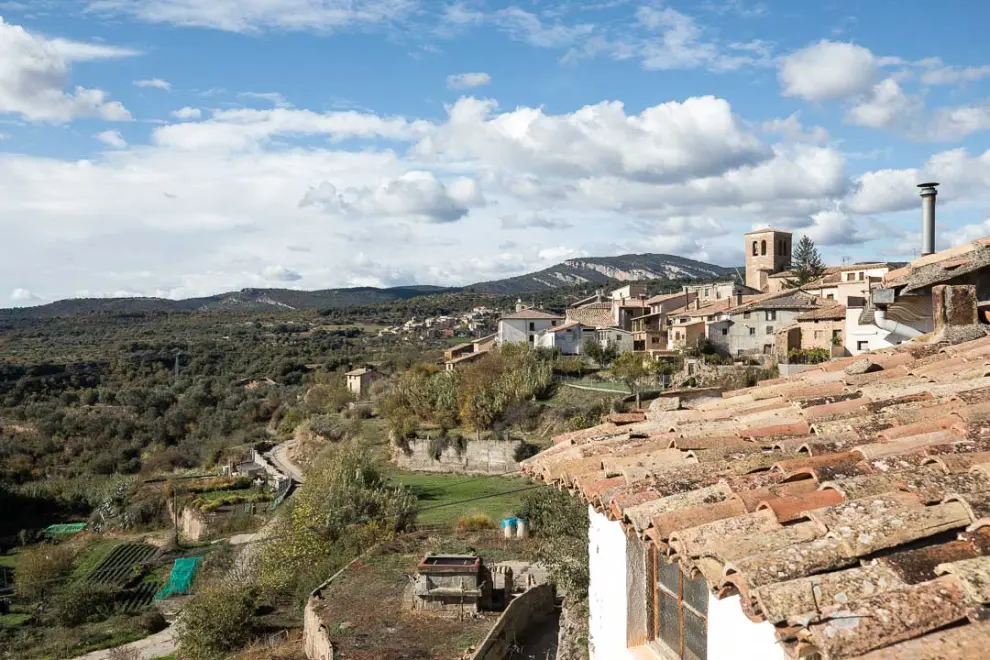Fotos del anís de Colungo | Imágenes