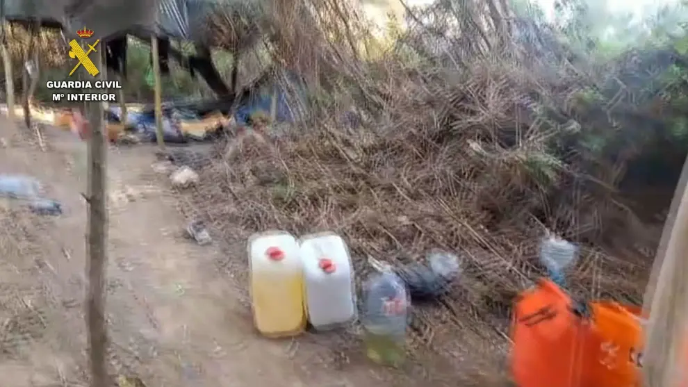 Fotos | Plantación de marihuana desmantelada en Escatrón | Imágenes