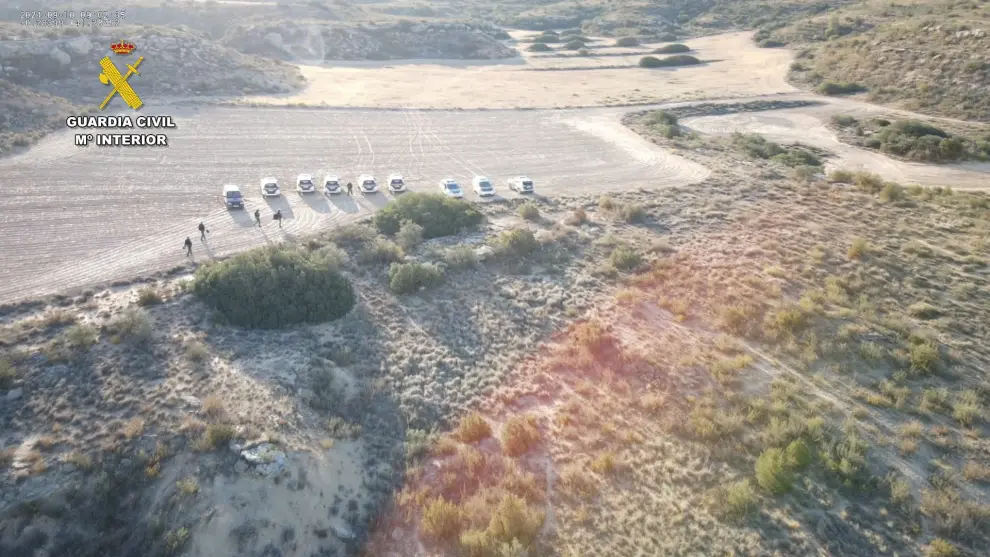 Fotos | Plantación de marihuana desmantelada en Escatrón | Imágenes