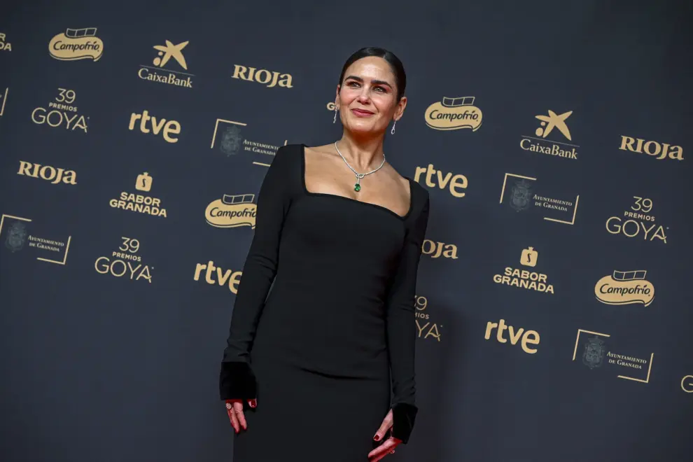 La alfombra roja de los Premios Goya 2025, en imágenes desde Granada | Imágenes