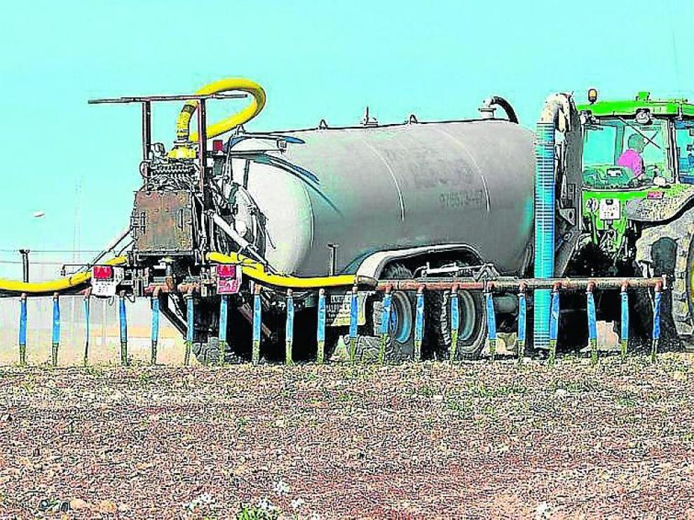 La gestión de los purines y su aplicación a los cultivos se endurece ...