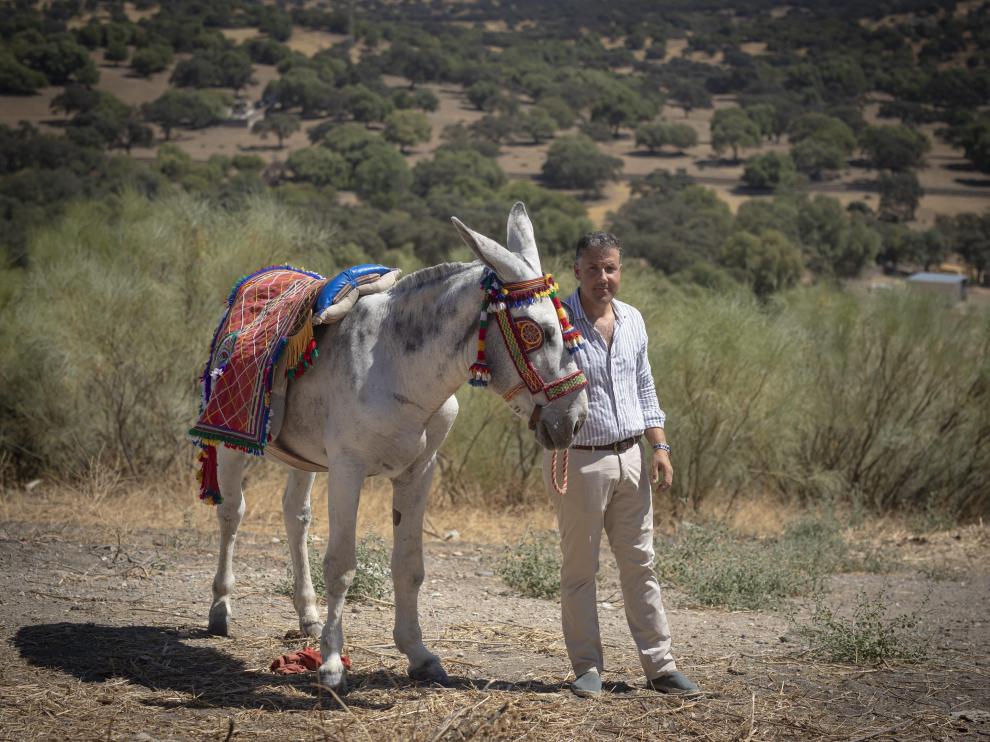 El asno de pura raza andaluza se resiste a su extinción