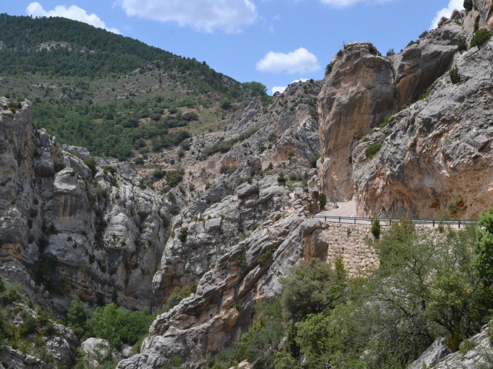 La Comarca del Maestrazgo apuesta por el paisaje del bosque en invierno ...