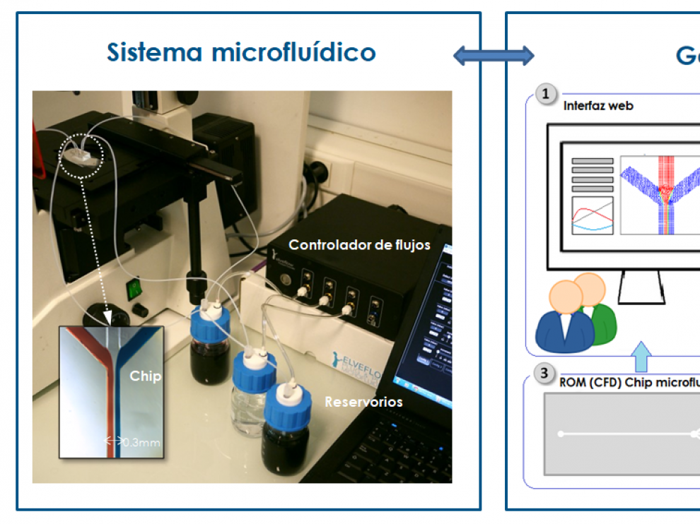 La fábrica del futuro: Microfluídica, la diminuta Venecia de la ciencia ...