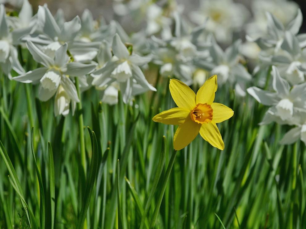 Resurrección | Opinión | Ana Alcolea