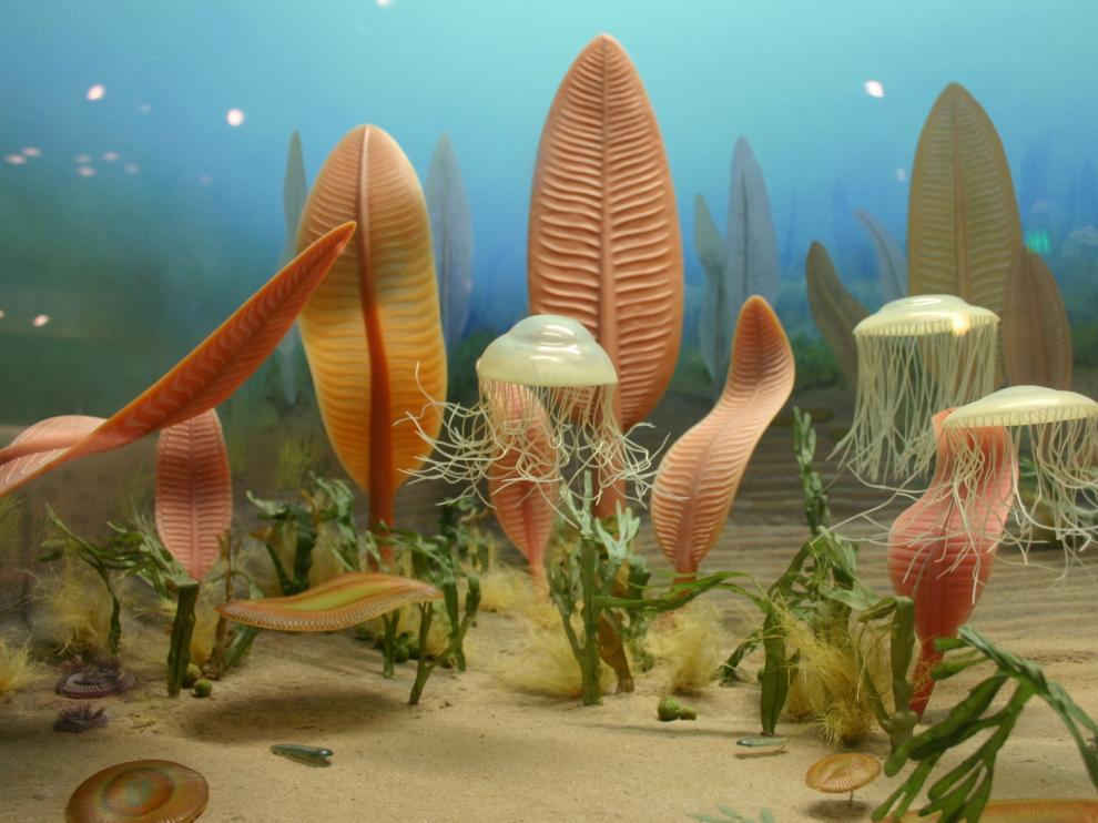 Una caída global de oxígeno desató la primera extinción masiva