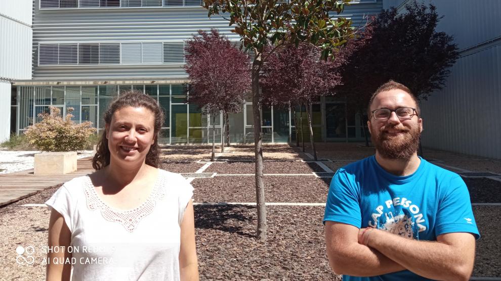 Investigadores de la UZ y la UAB identifican una molécula que bloquea ...