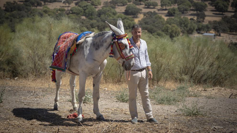 El asno de pura raza andaluza se resiste a su extinción