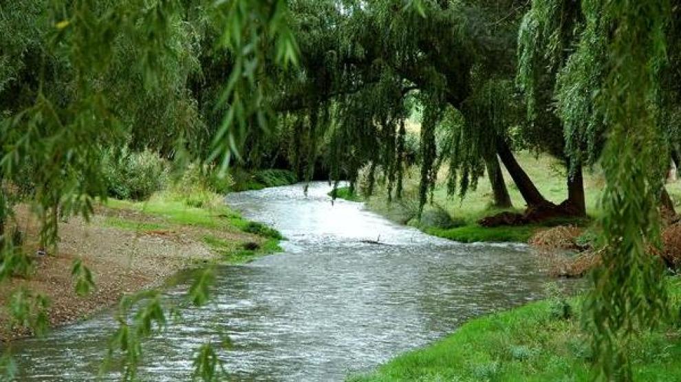 Paseos familiares para conocer el entorno natural de la comarca del Jiloca