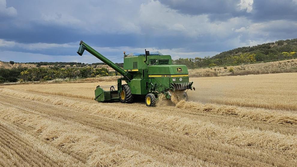 Arranca la cosecha de cereal en la provincia con retrasos por las lluvias