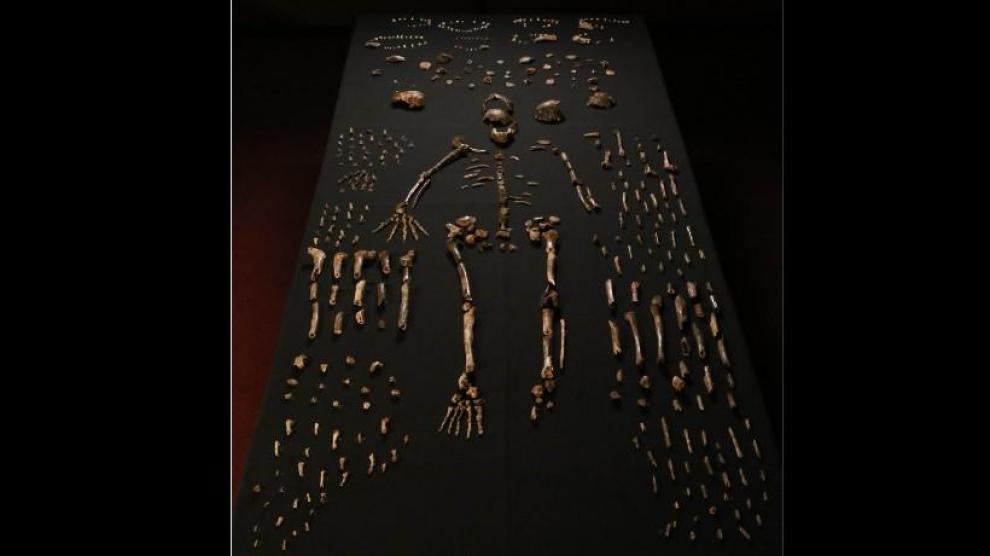 La historia de Homo naledi: incógnitas de un insólito y controvertido ...