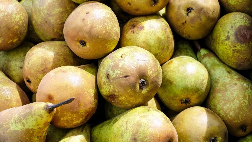 La 'fruta fea' también llega a los expositores | Noticias de Heraldo ...