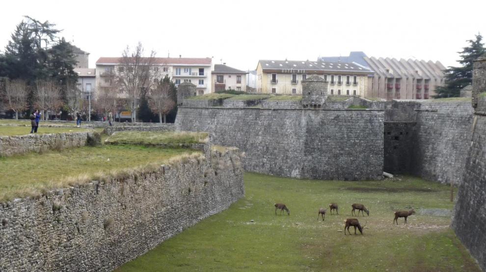 Qué ver en Jaca en invierno. Una ciudad ideal para hacer turismo ...