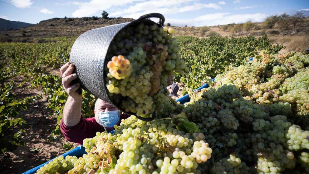 Paniza: al que vino, pues vino y buen atino