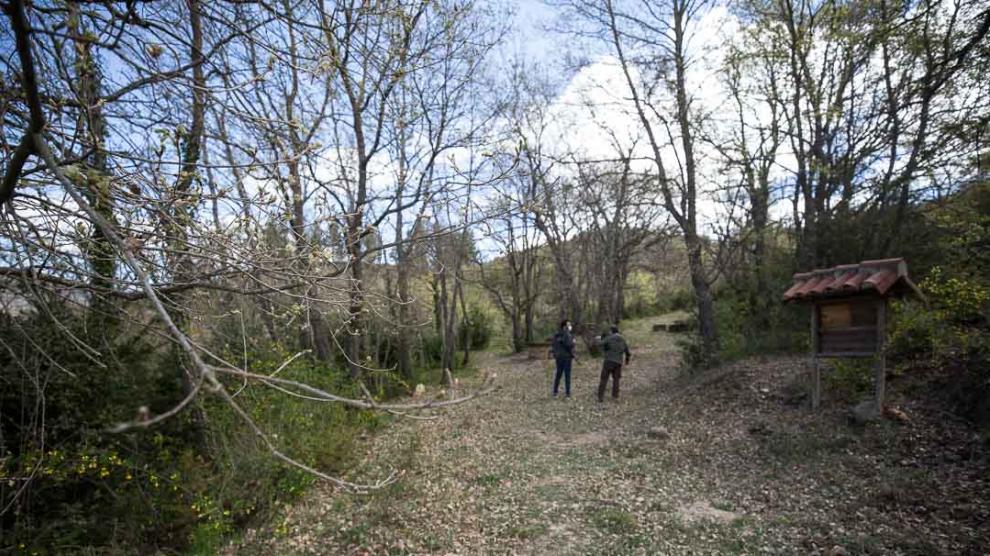 Rutas por Lobera D' Onsella (Zaragoza): de la subida hacia Pintano a Pigalo