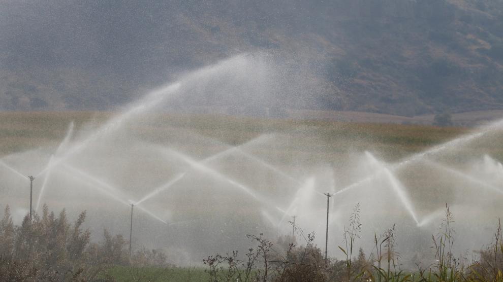 ¿Puede permitirse España las hectáreas agrícolas que tiene en regadío?