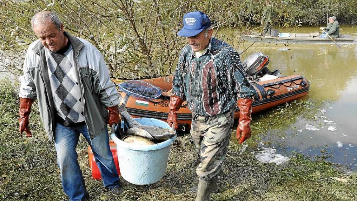 El vertido tóxico de lodo rojo alcanza el Danubio