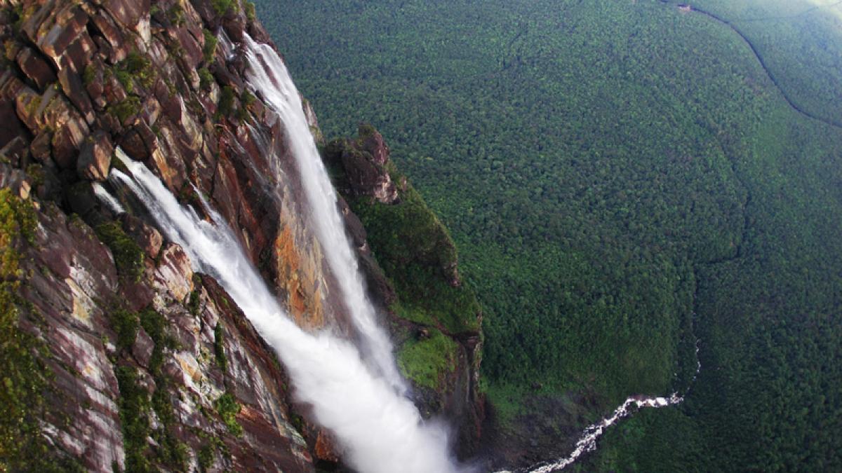 La Amazonia se formó hace 20 millones de años al surgir los Andes
