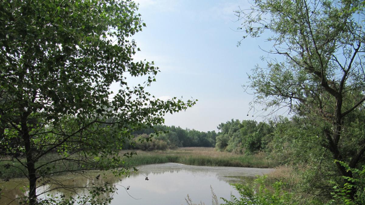 El galacho de Juslibol, un paraíso que cumple medio siglo