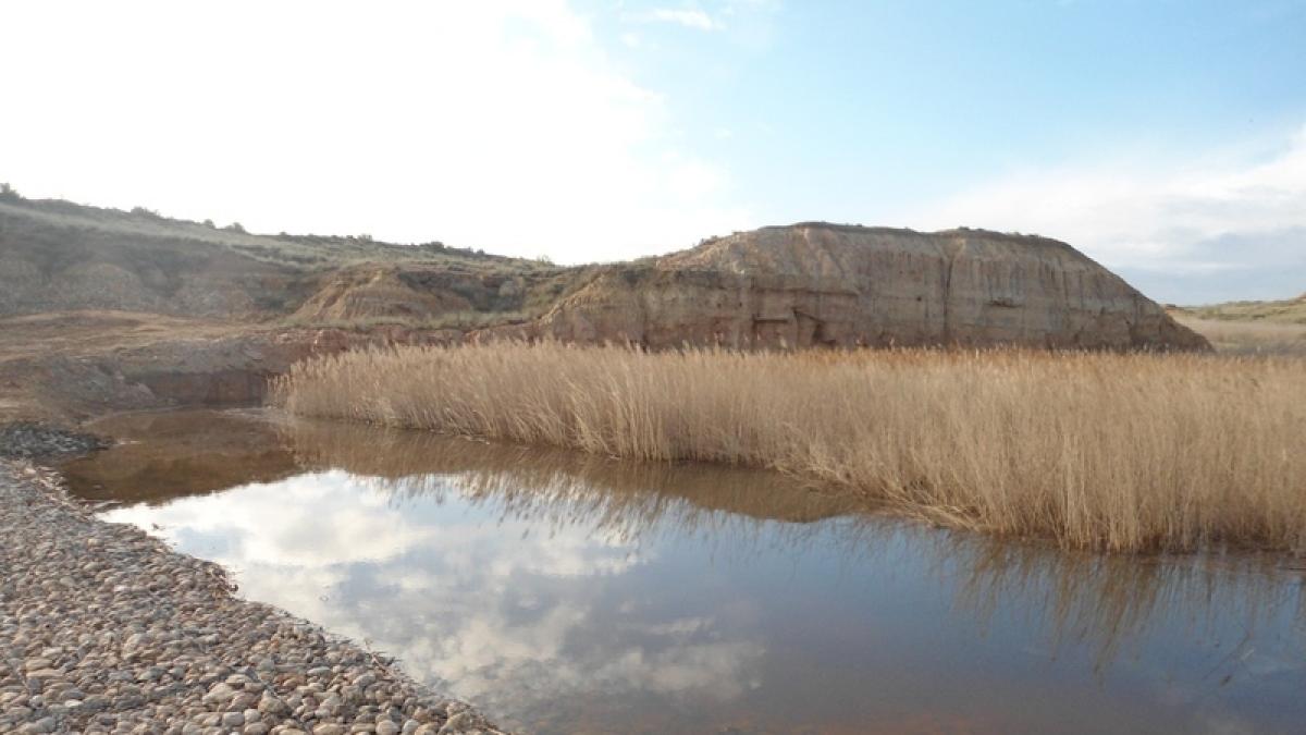 Un proyecto europeo aumenta la biodiversidad en el río Flumen