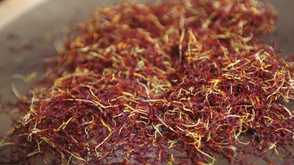 Un antidepresivo a base de azafrán turolense