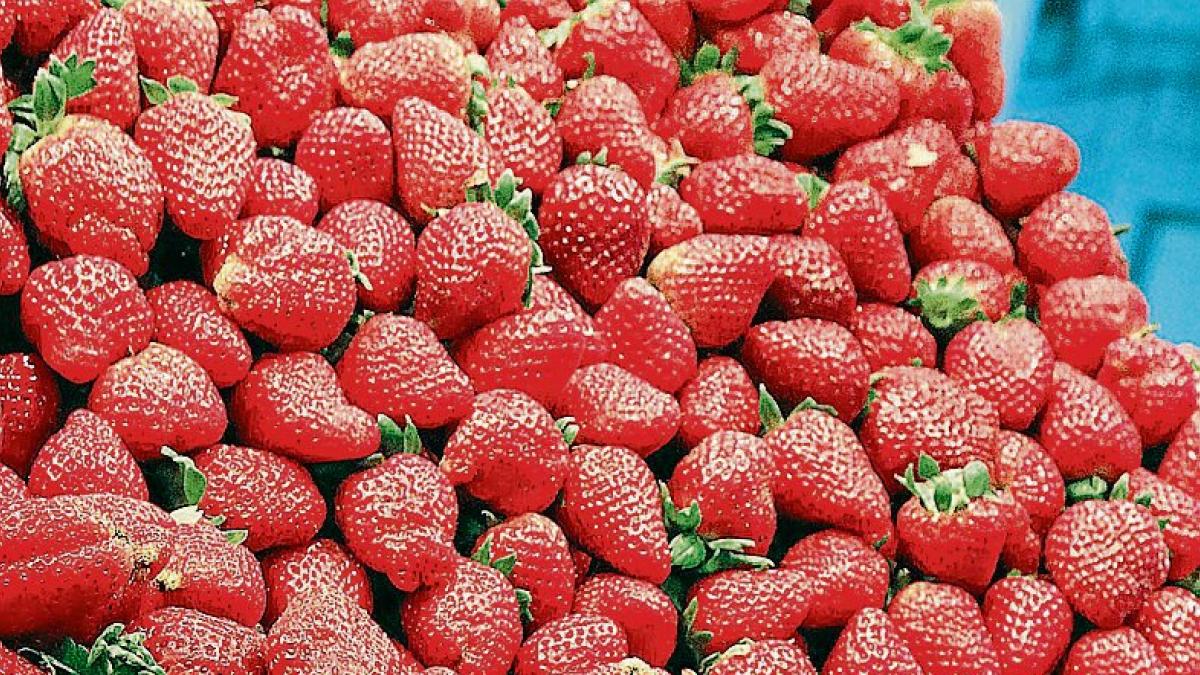 Frutas, hongos y mucha fantasía en la gastronomía afrodisiaca ...