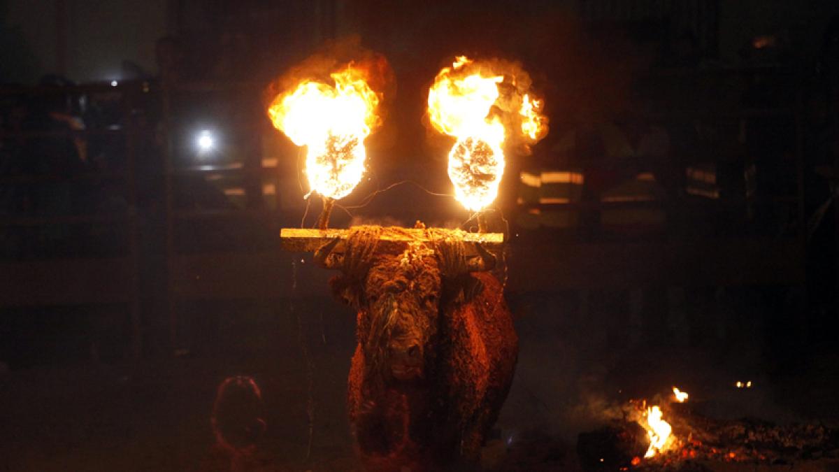 Medinaceli celebra el Toro Jubilo entre un gran despliegue de seguridad ...