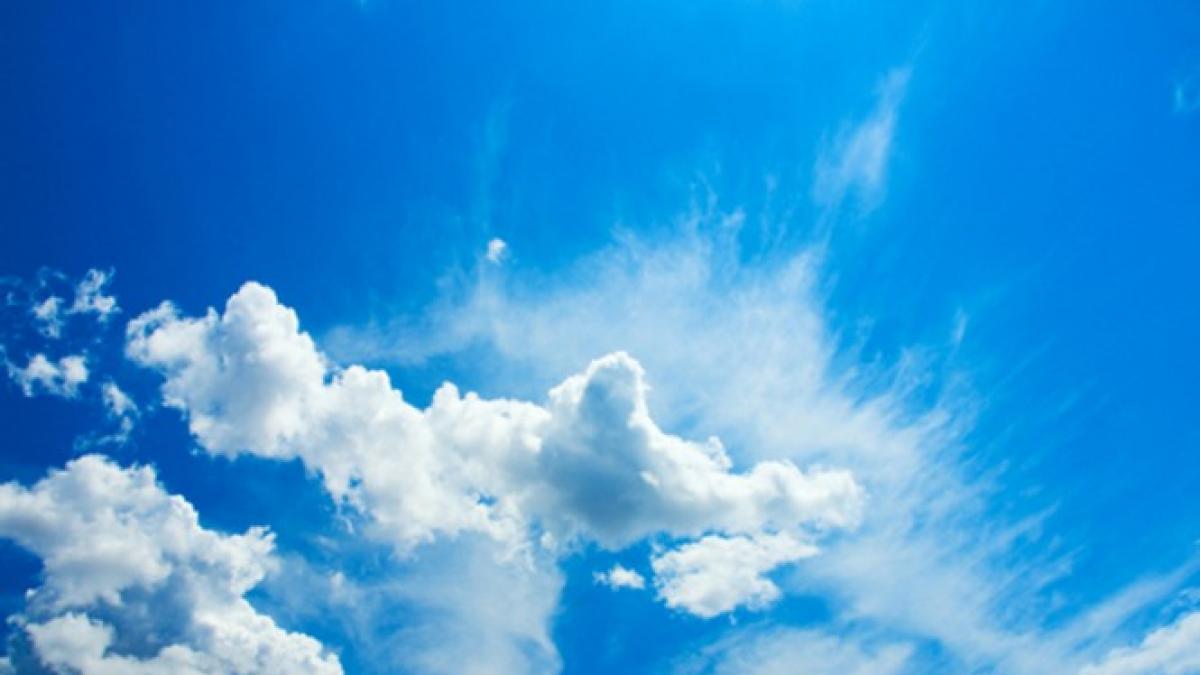 Nubes para conservar las especies