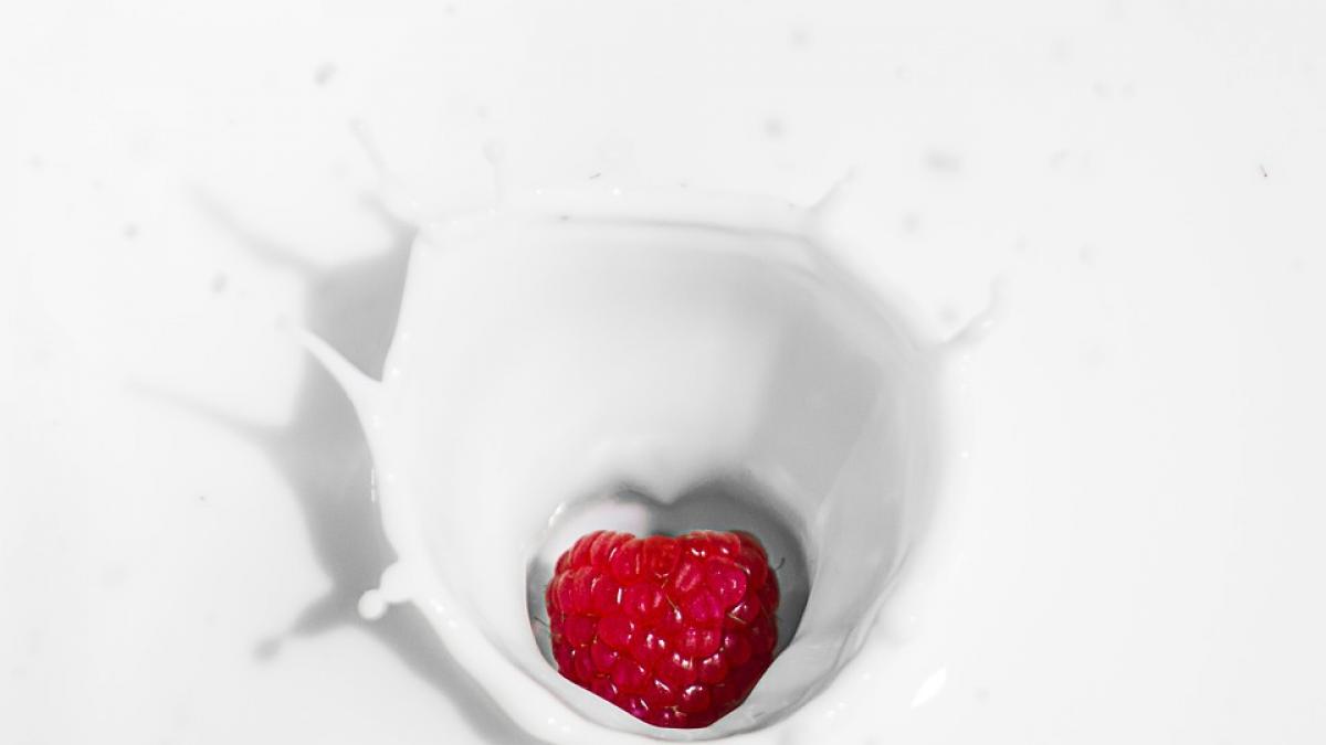 Los beneficios de beber leche todos los días | Noticias de Salud en ...