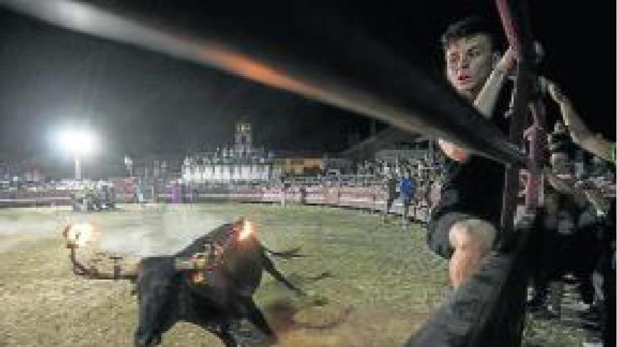 El toro embolado regresa dos años después a San Juan de Mozarrifar pese ...