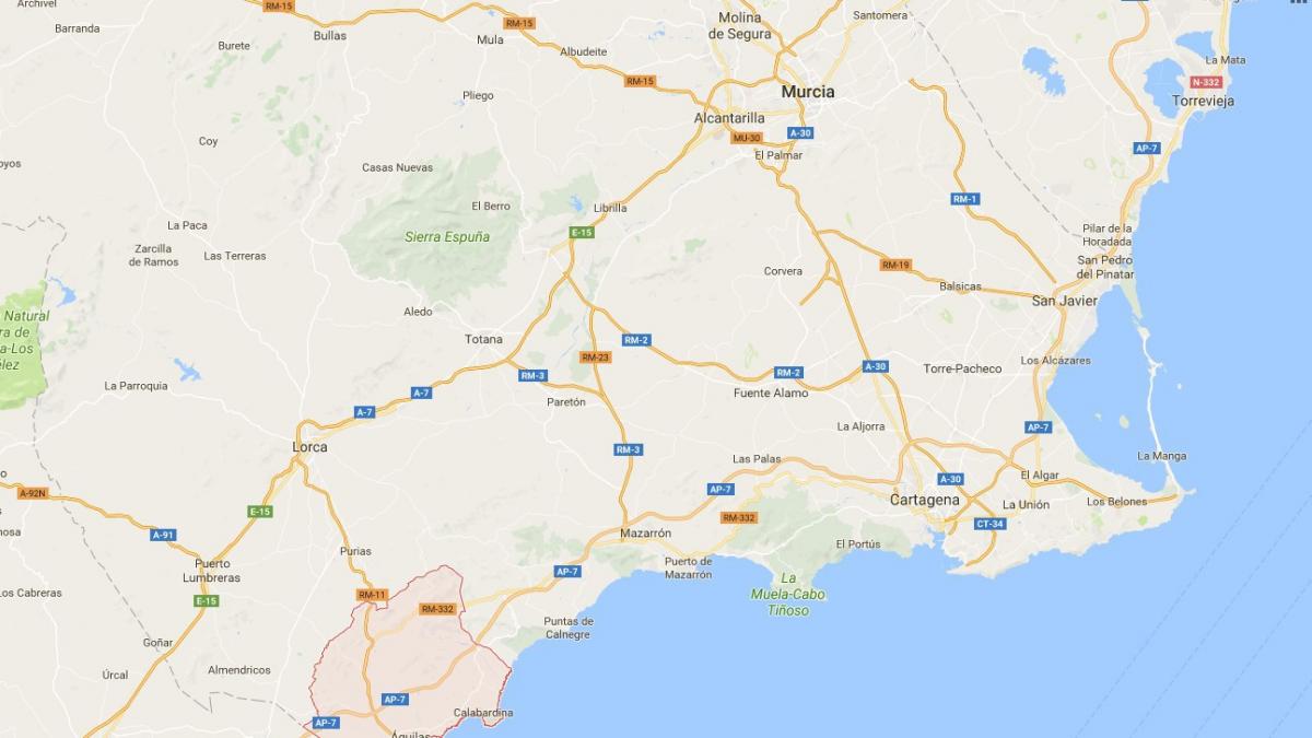 Un Muerto Y Un Herido Grave En Una Pelea Multitudinaria En Águilas