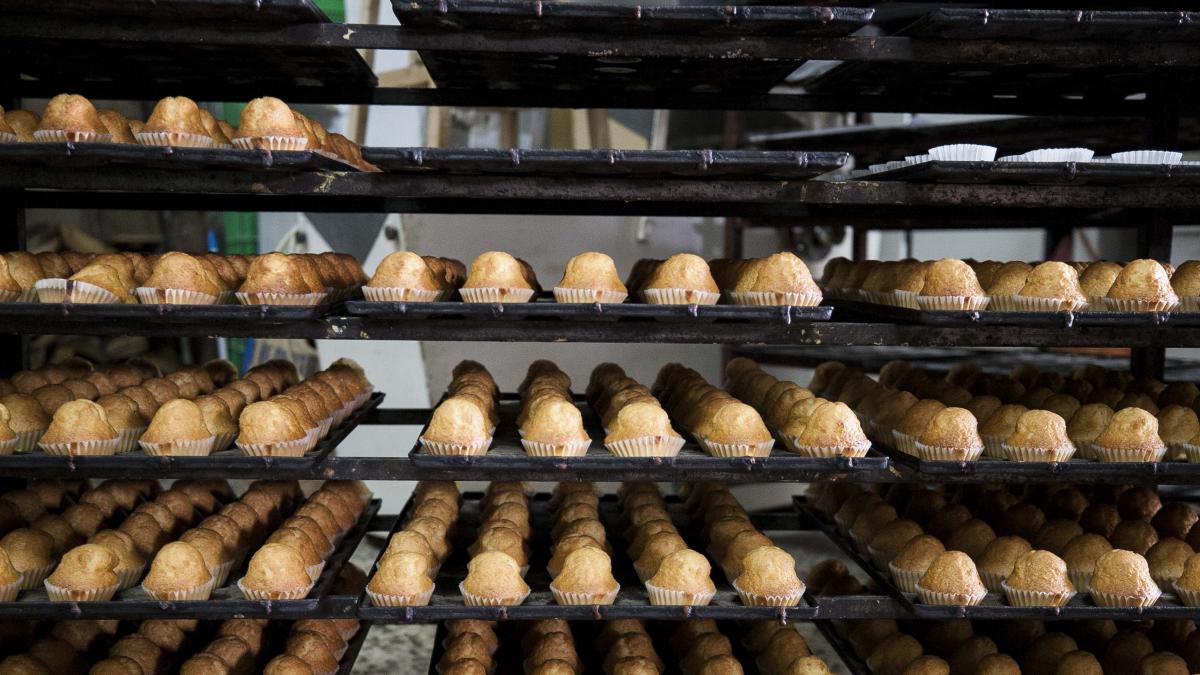 Fotos: Más imágenes de La Zaida en 'Aragón, pueblo a pueblo' | Imágenes