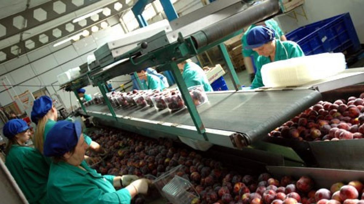 Agroalimentación e industria | Noticias de Aragón en Heraldo.es