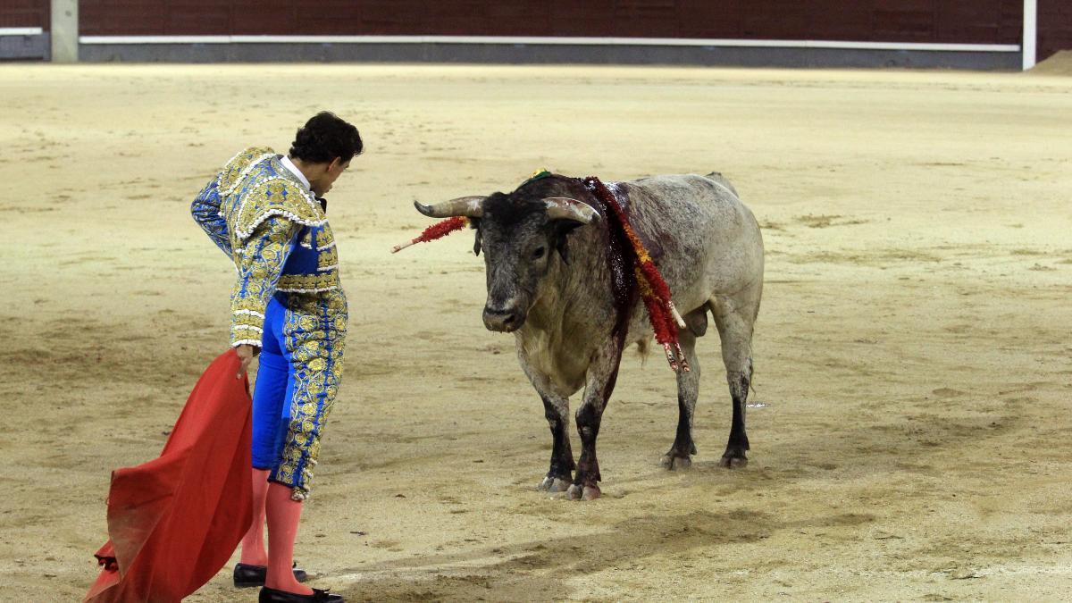 Debut de los novillos de Los Maños en Las Ventas