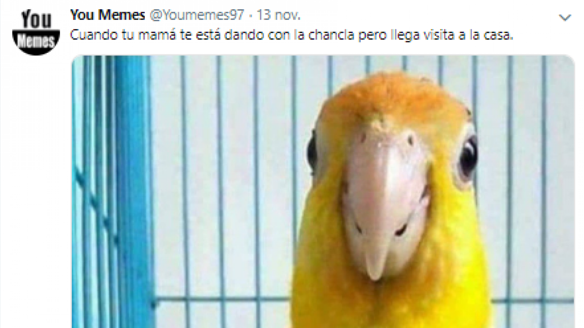 Fotos: Memes: los grandes protagonistas de las redes sociales | Imágenes